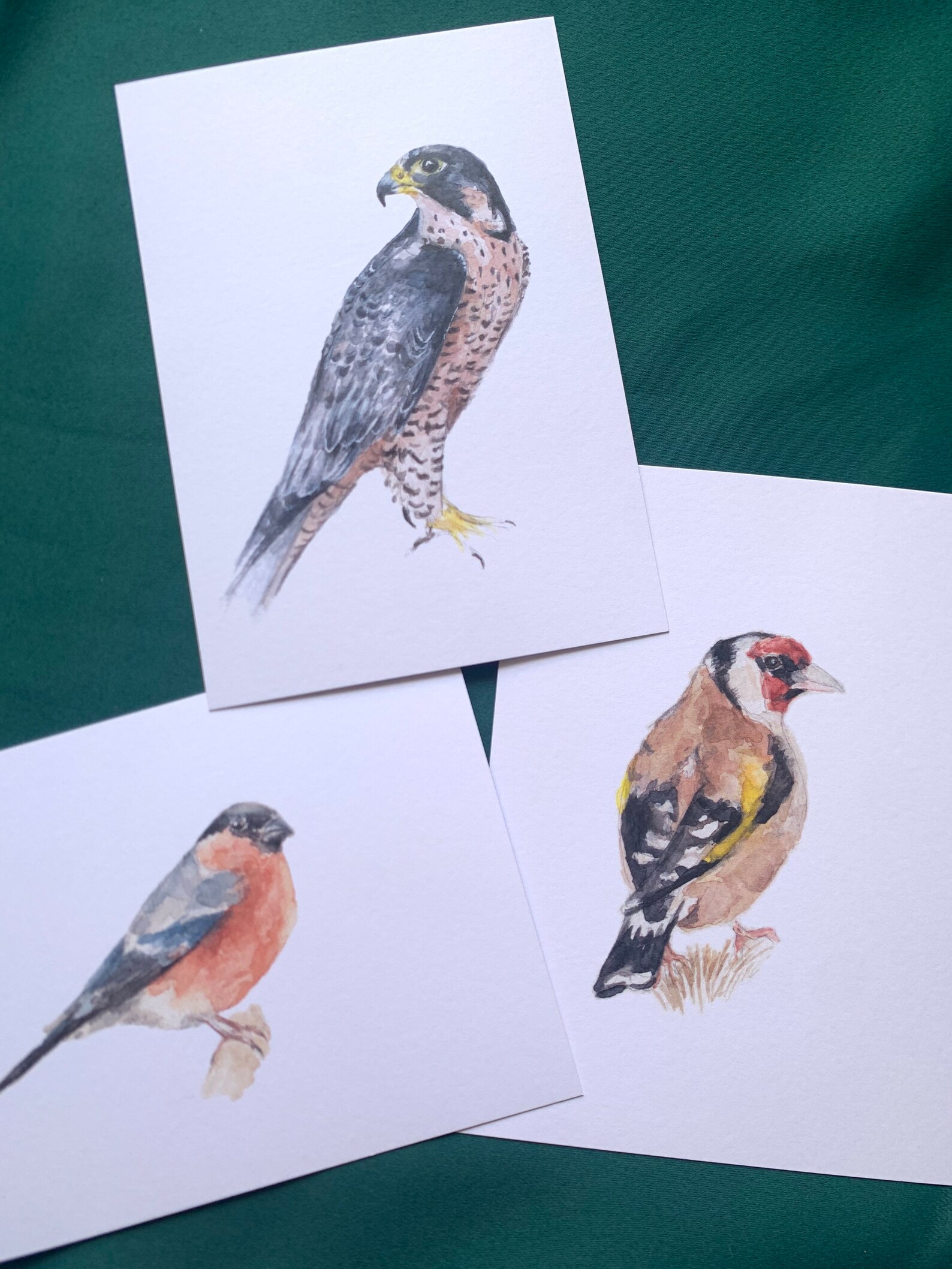 Bird Postcard Set, Cute Bird Postcards, Nature Postcard, Postcard Gift ...