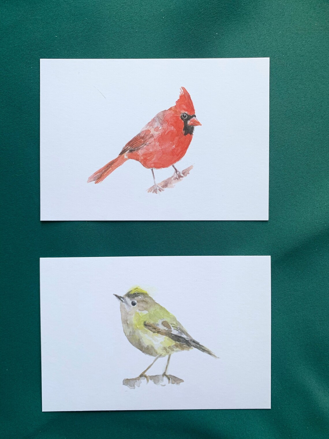 Bird Postcard Set, Cute Bird Postcards, Nature Postcard, Postcard Gift ...