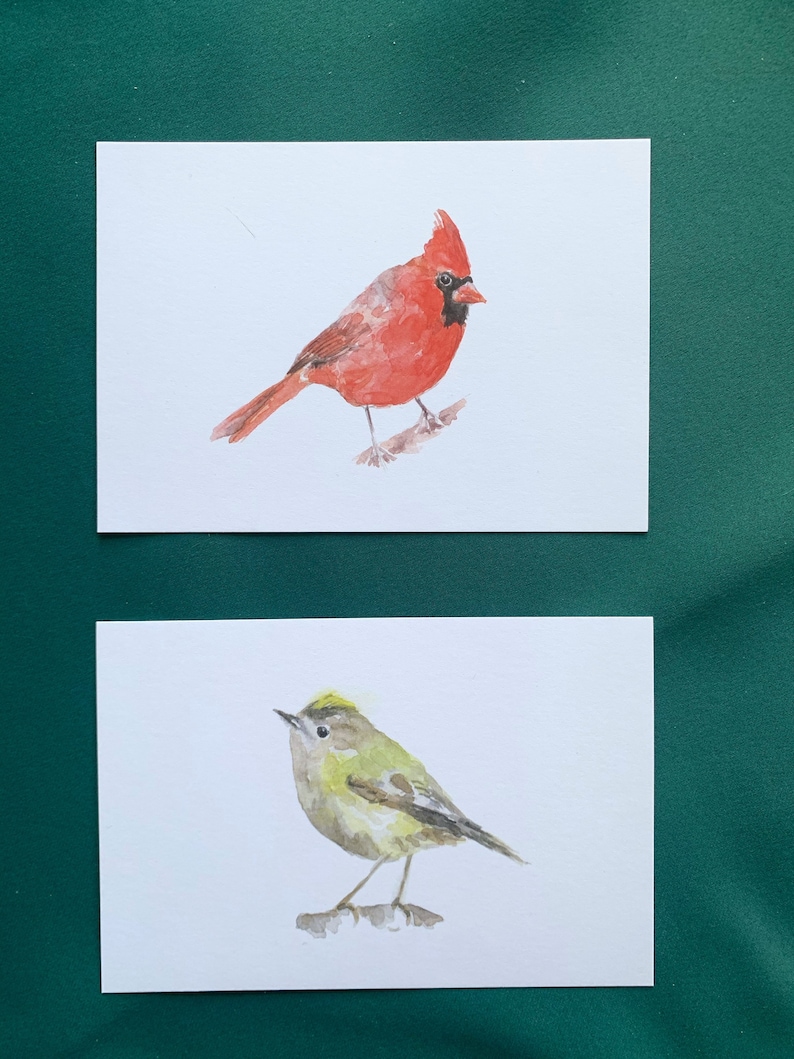 Bird Postcard Set, Cute Bird Postcards, Nature Postcard, Postcard Gift ...