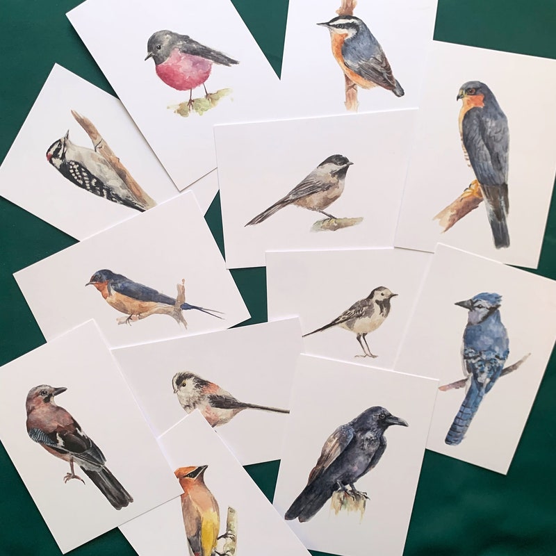 Bird Postcards - Etsy