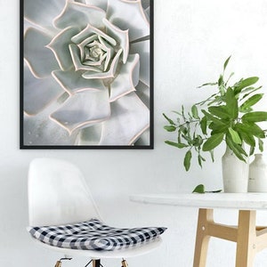 Succulent Print Poster, White Succulent Wall Art Printable, Desert ...