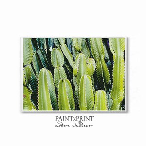 Cactus Poster, Succulent Art Print, Wall Art Prints, Desert Print ...