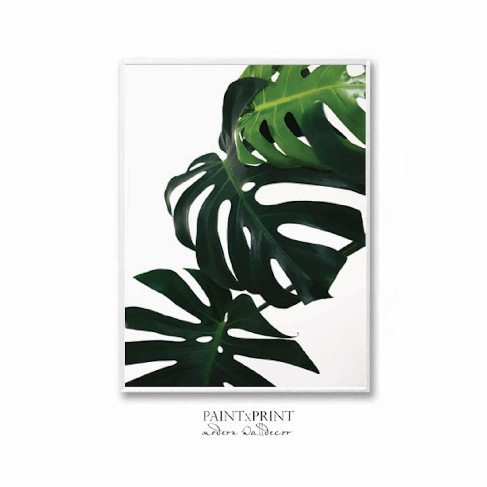 Monstera Leaf Print Botanical Prints Wall Art Prints | Etsy