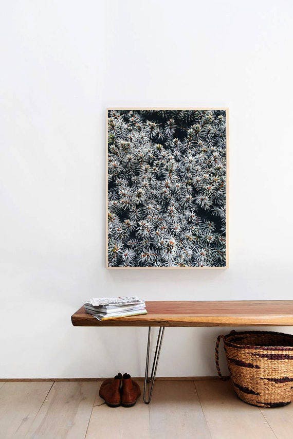 Flower Print Flower Art Botanical Print Flower Photography | Etsy