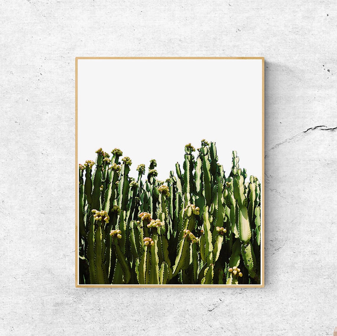 Cactus Art Cactus Print Botanical Print Printable Art | Etsy
