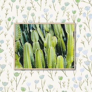 Cactus Poster, Succulent Art Print, Wall Art Prints, Desert Print ...