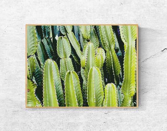 Cactus Poster Succulent Art Print Wall Art Prints Desert | Etsy