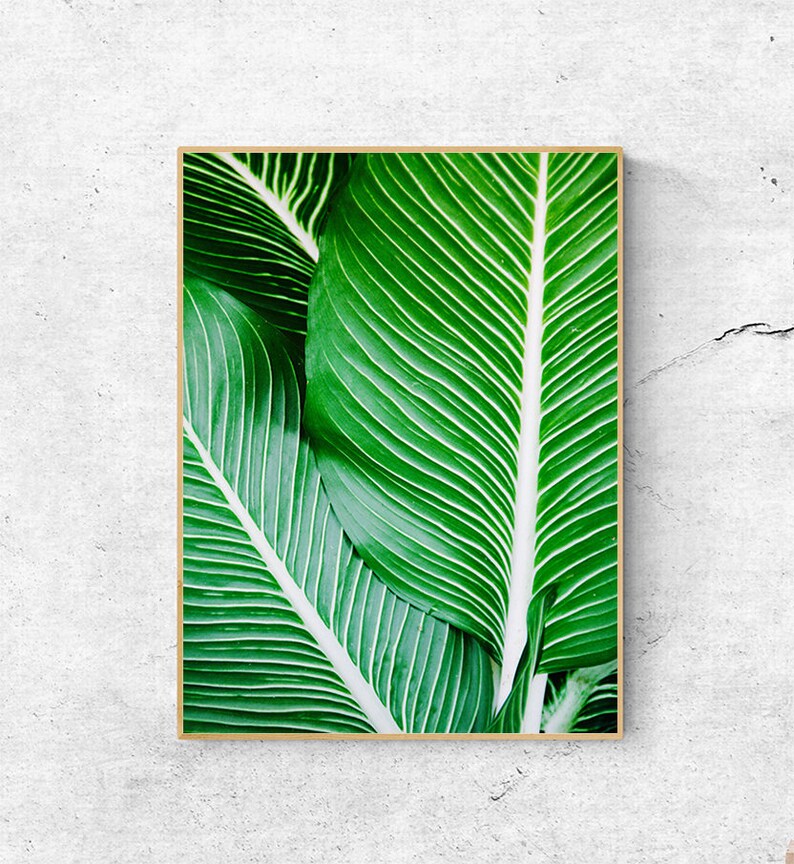 Botanical Leaves Wall Art Downloadable Modern Farmhouse | Etsy