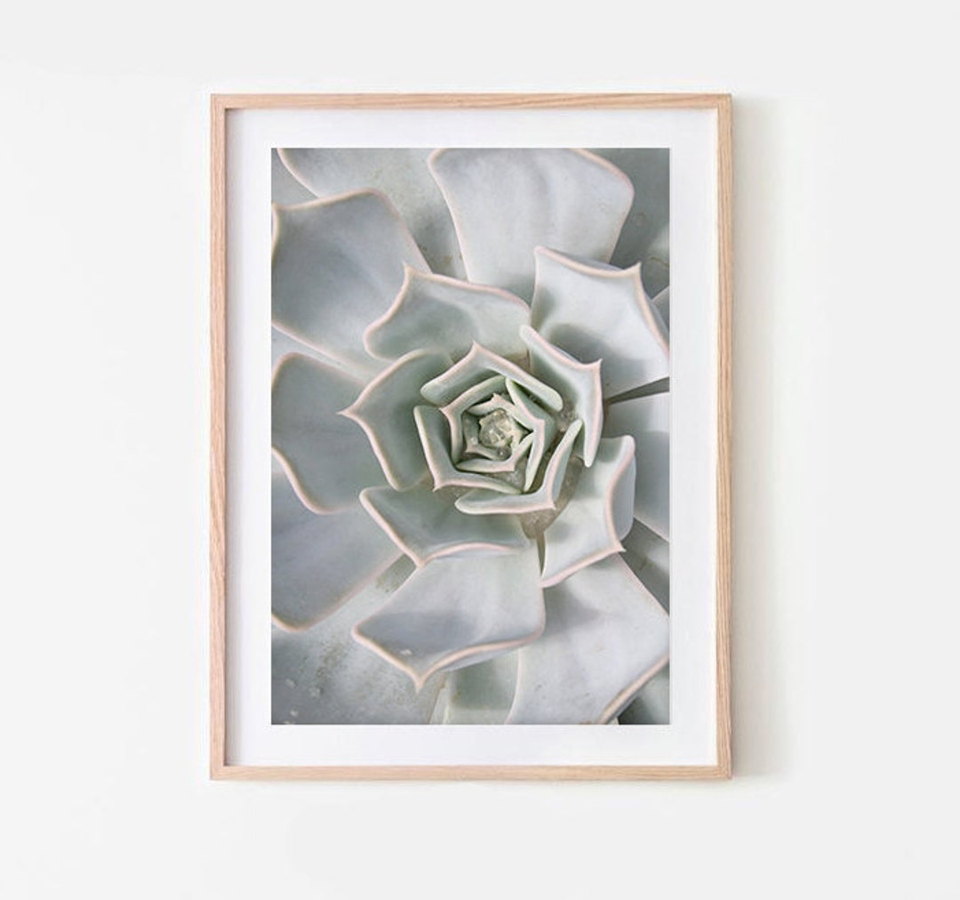 Succulent Print Poster, White Succulent Wall Art Printable, Desert ...