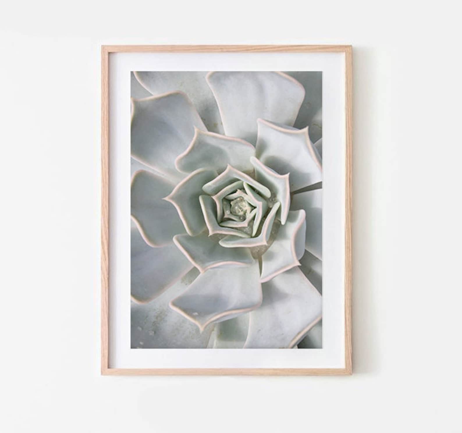 Succulent Print Poster White Succulent Wall Art Printable - Etsy