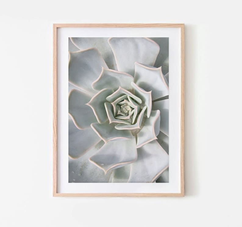 Succulent Print Poster White Succulent Wall Art Printable - Etsy