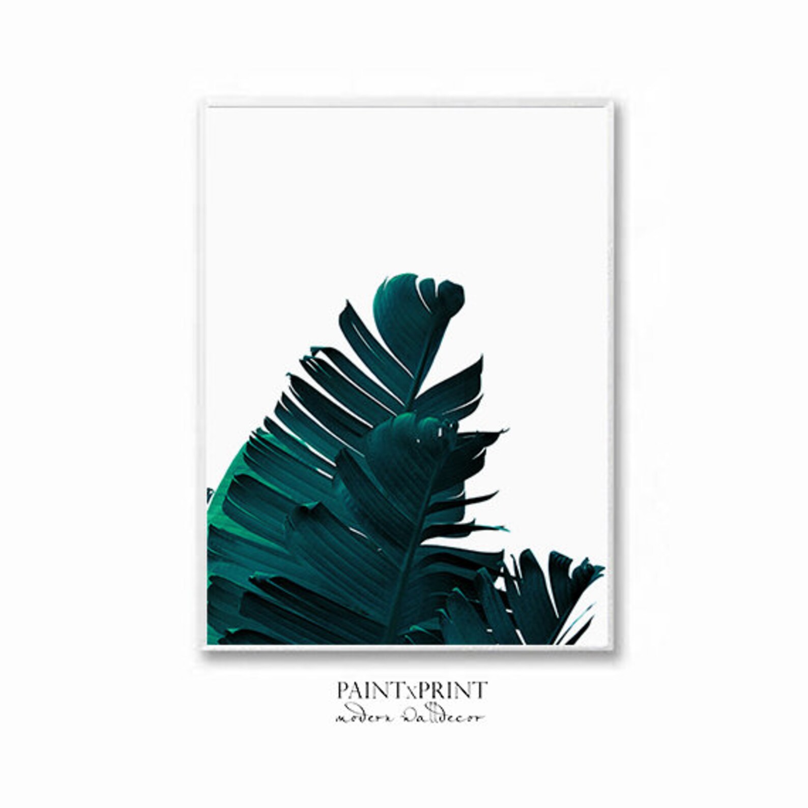 Palm Leaf Print Banana Leaf Print Botanical Print Palm Tree | Etsy