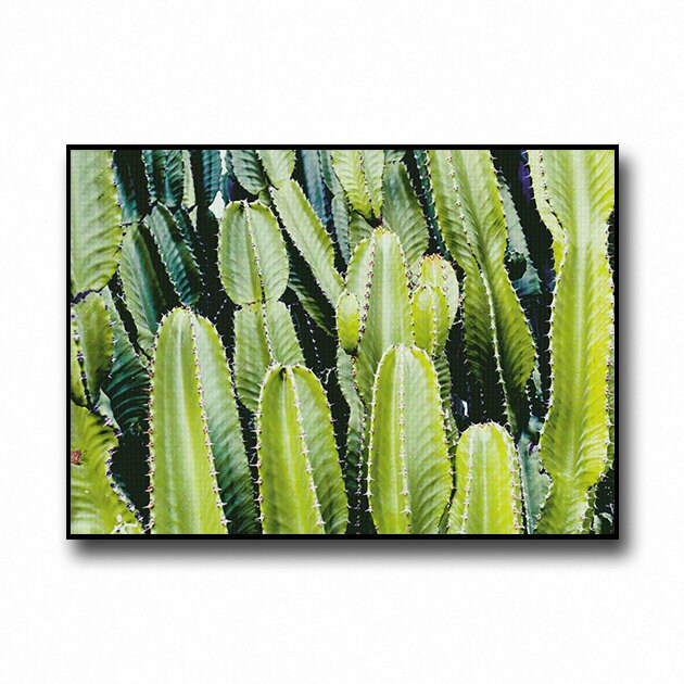 Cactus Poster Succulent Art Print Wall Art Prints Desert | Etsy