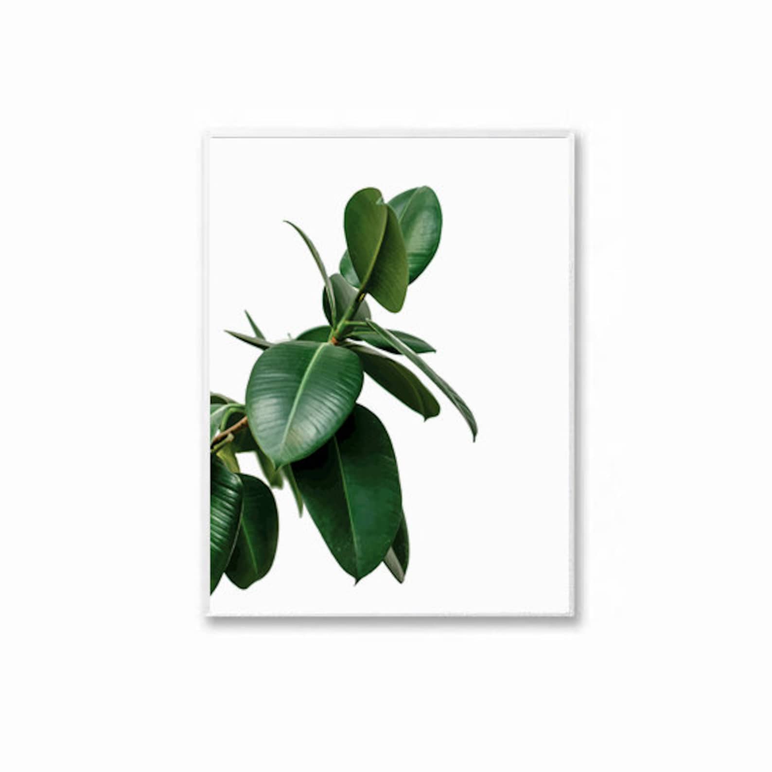 Greenery Print Mint Green Leaf Print Botanical Wall Art | Etsy