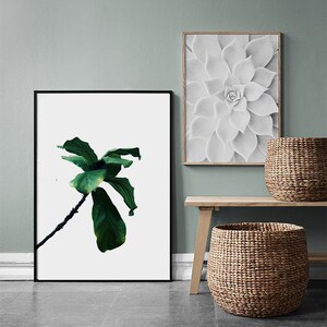 Botanical Poster, Tropical Wall Art Print, Botanical Leaf Print ...