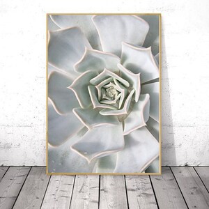 Succulent Print Poster, White Succulent Wall Art Printable, Desert ...