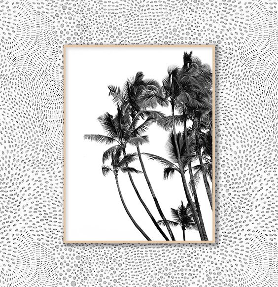 Palm Tree Print Palm Tree Poster Black And White Palm Leaf | Etsy
