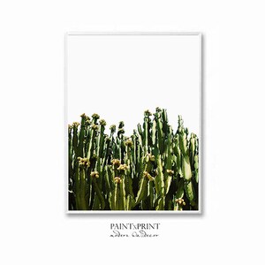 Cactus Art Cactus Print Botanical Print Printable Art - Etsy