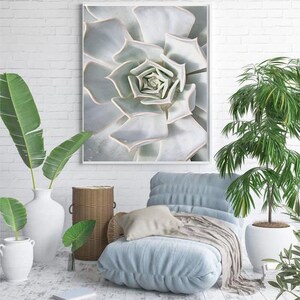 Succulent Print Poster, White Succulent Wall Art Printable, Desert ...