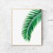Leaf Print Poster Botanical Print Download Wall Art Prints - Etsy