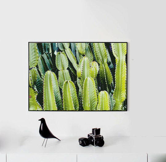 Cactus Poster Succulent Art Print Wall Art Prints Desert | Etsy