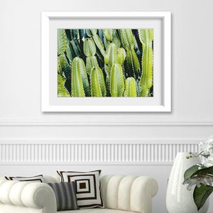 Cactus Poster, Succulent Art Print, Wall Art Prints, Desert Print ...