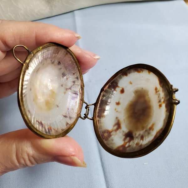 Shell Coin Purse - Etsy