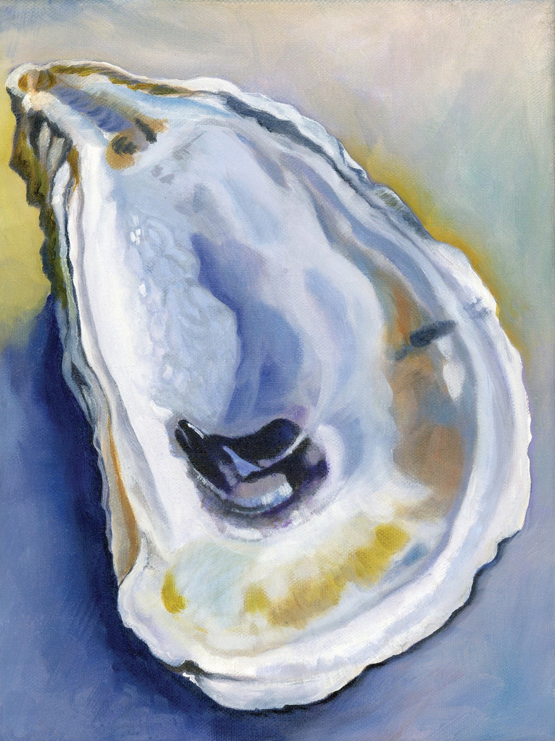 Oyster Shell Fine Art Print oyster Shell on Blue - Etsy