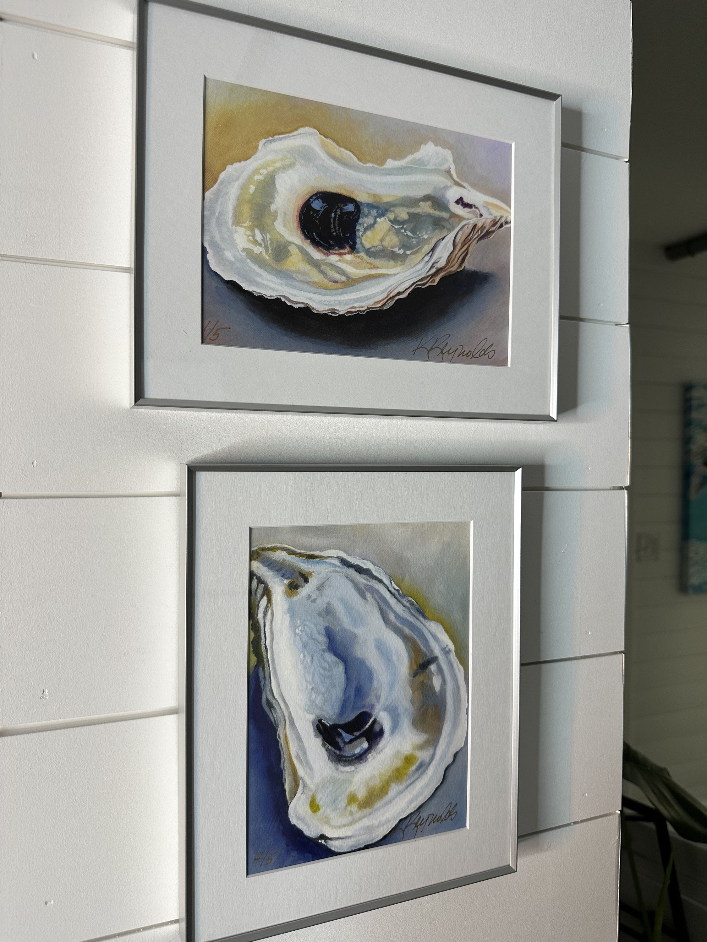 Oyster Shell Fine Art Print, oyster Shell on Blue, Oyster Shell Giclee ...