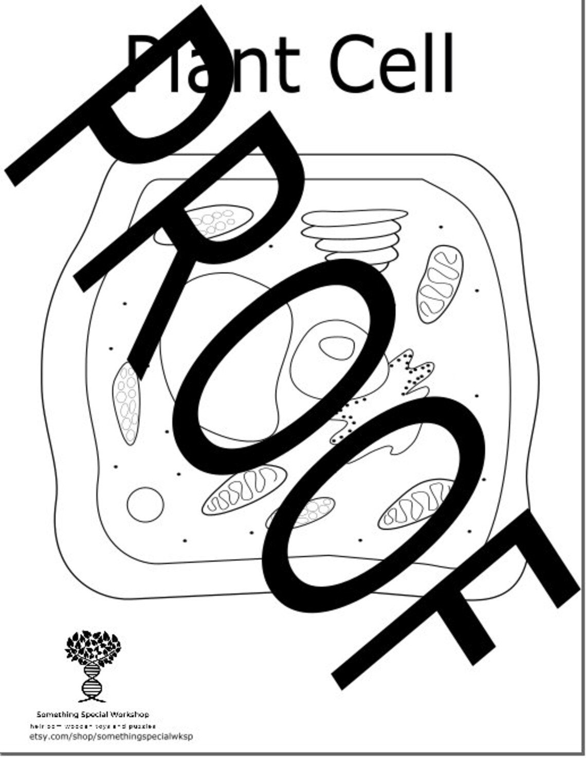 Plant Cell Coloring Sheet - Etsy