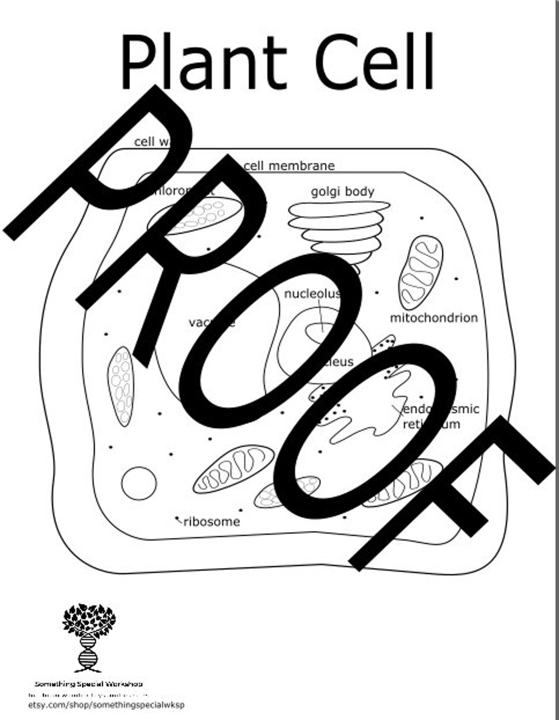 Plant Cell Coloring Sheet - Etsy