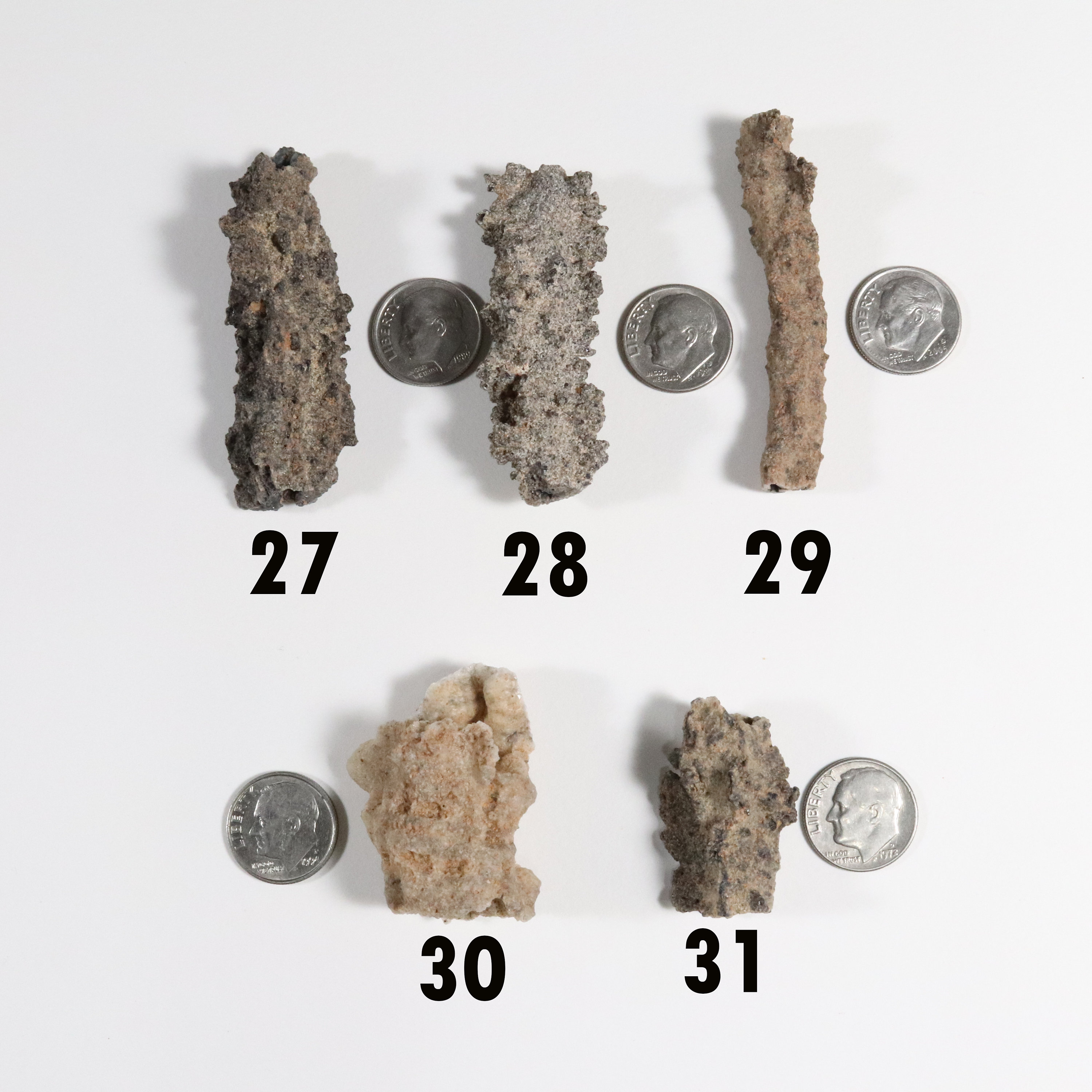 Fulgurite Primitive Glass Made by a Lightning Strike in Sand Unique ...