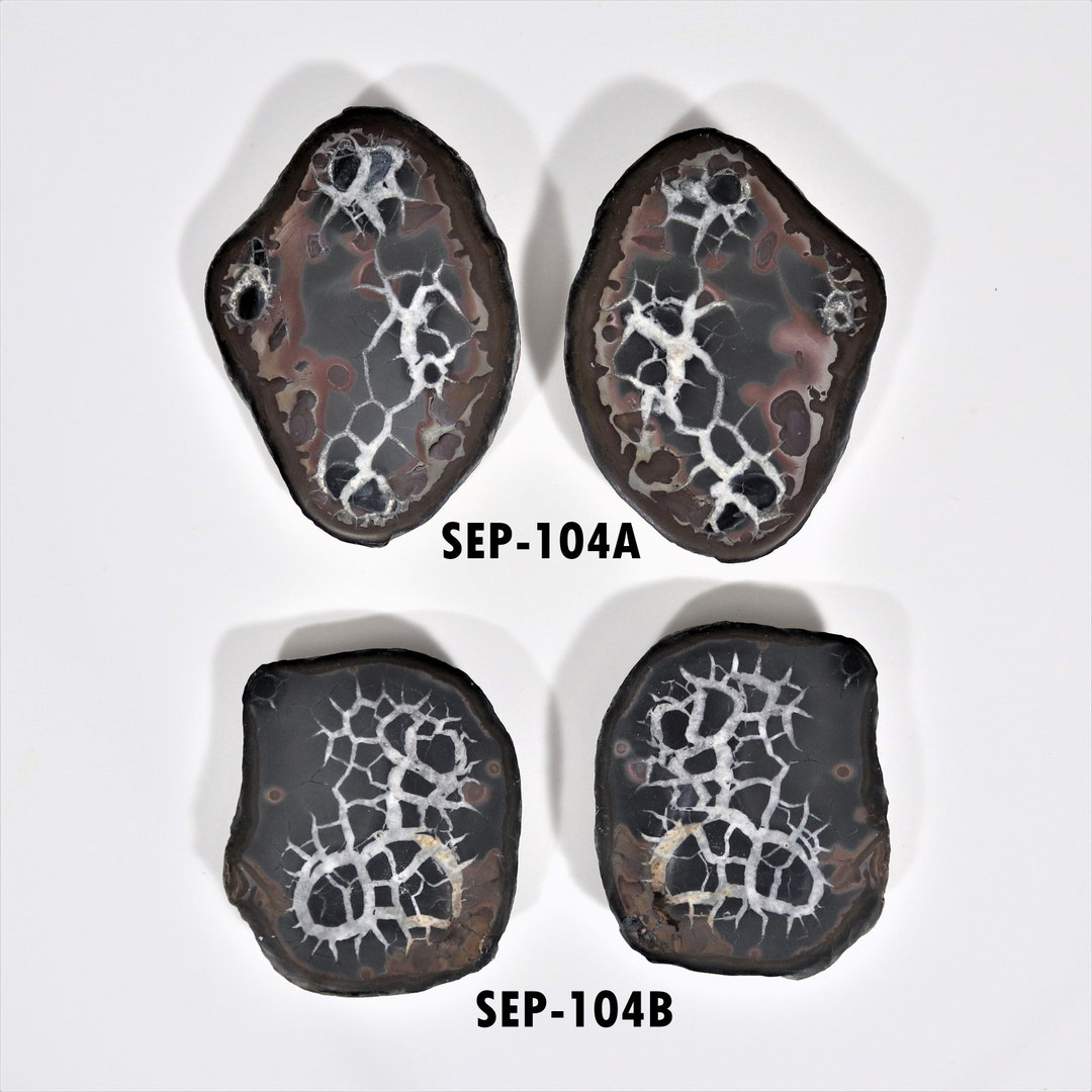 Septarian Nodules, Moroccan Fossil, Rare Stone Specimens, Fossilized ...