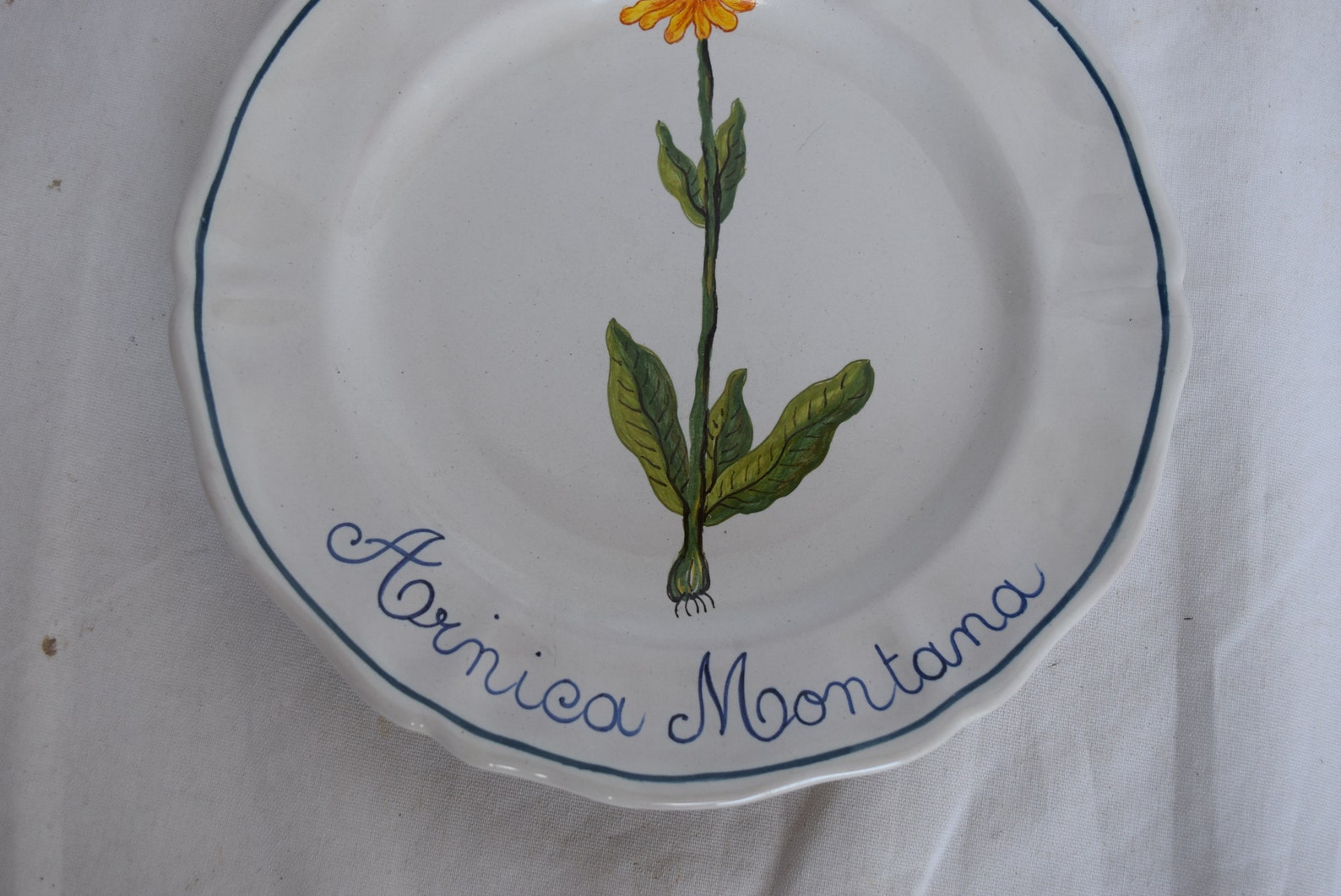 Grazia Deruta Italian Pottery Botanic Garden Wall Plate Herb - Etsy