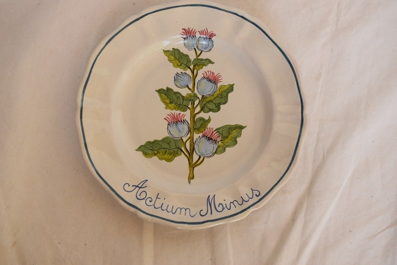 Grazia Deruta Italian Pottery Botanic Garden Wall Plate Herb - Etsy