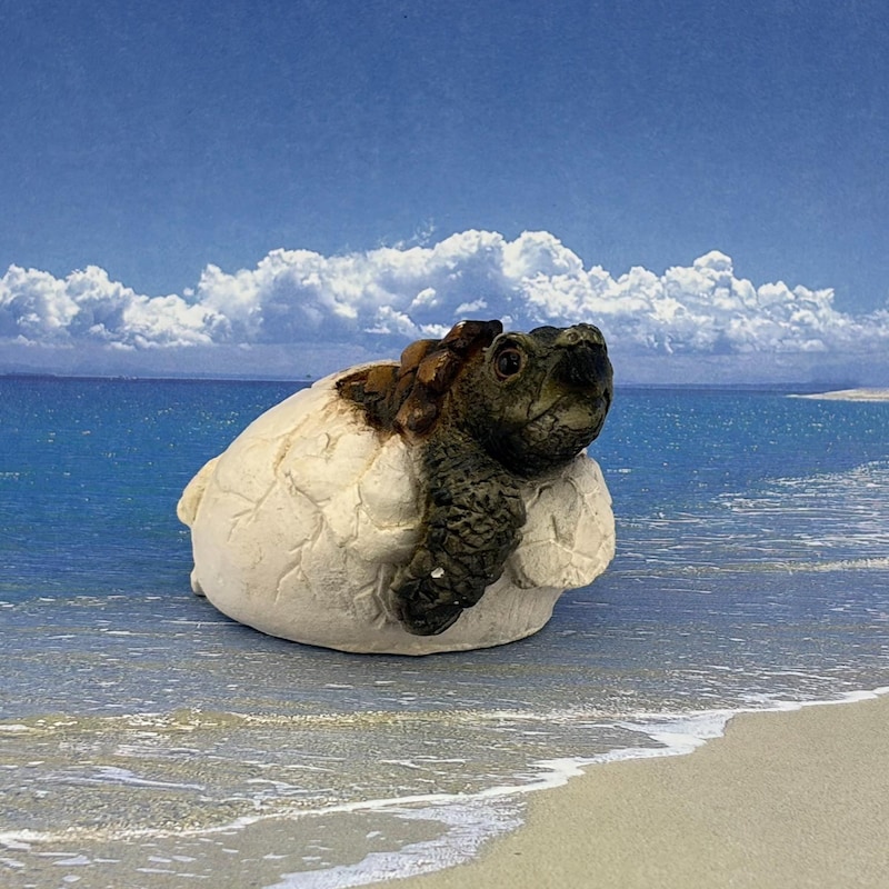 Turtle Art Made of Shells - Etsy