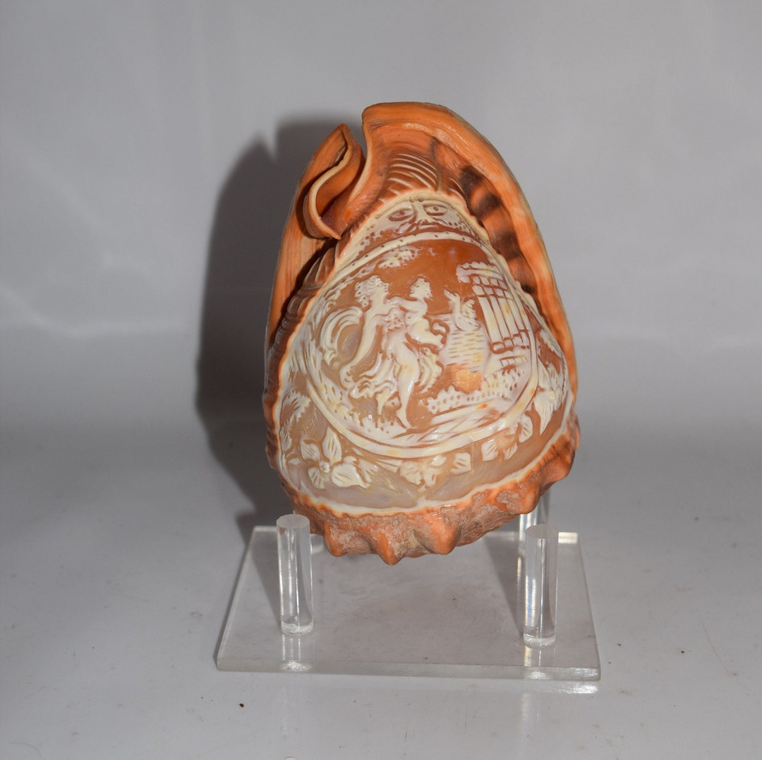 Italian Cameo Relief Hand Carved Bullmouth Helmet Conch Shell Victorian ...