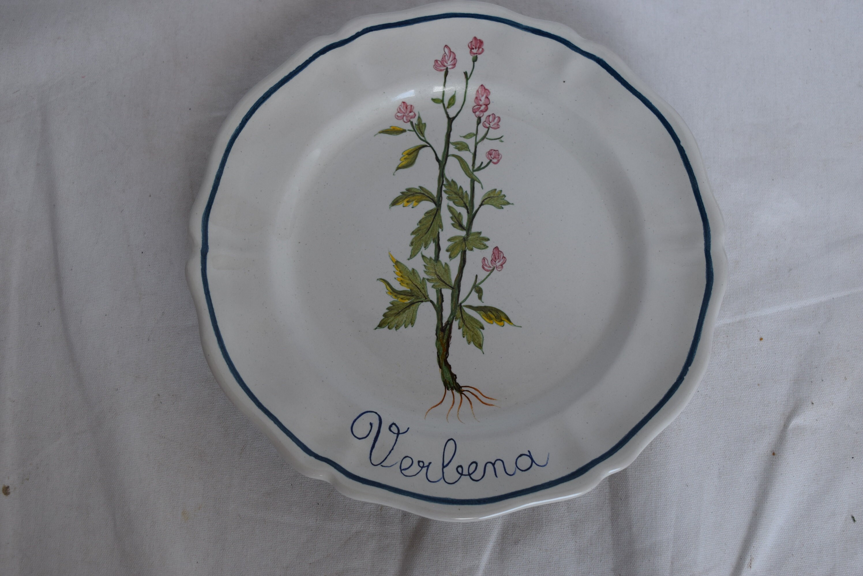 Grazia Deruta Italian Pottery Botanic Garden Wall Plate Herb | Etsy