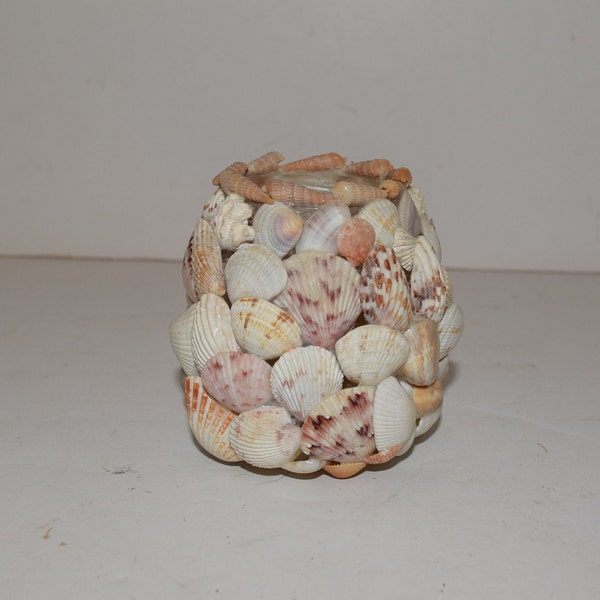 Shell Candle Holder - Etsy