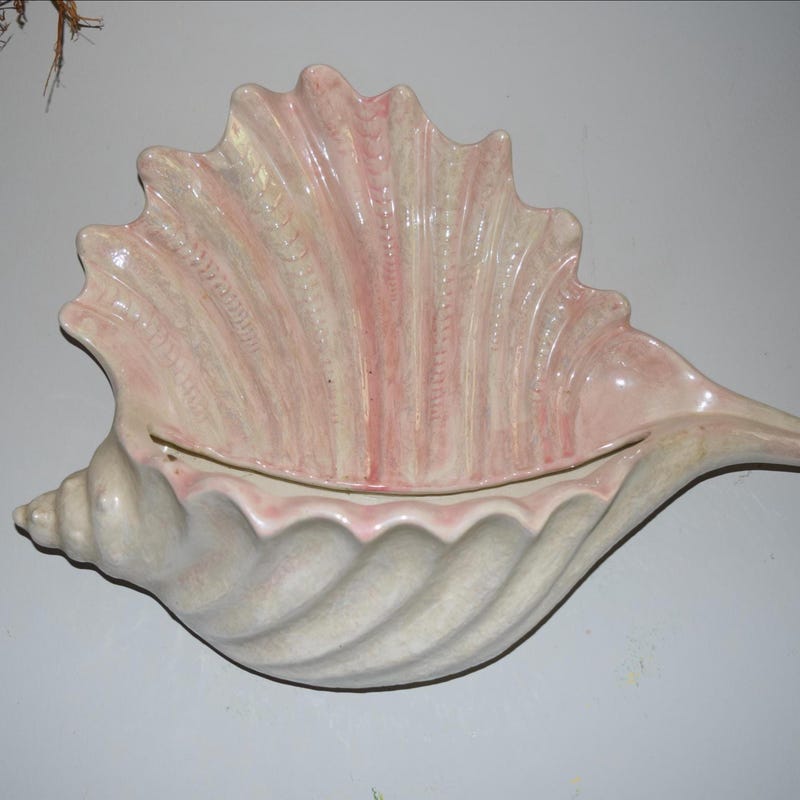 Conch Shell Planter - Etsy