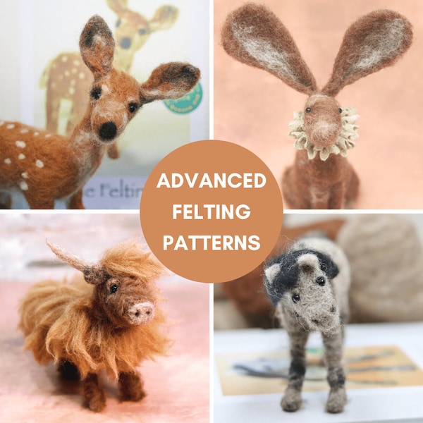 Needle Felting Patterns - Etsy