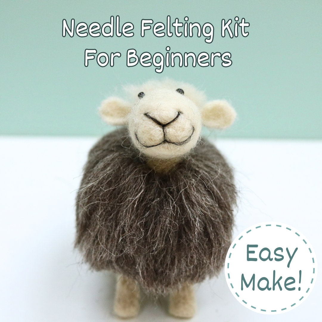 Sheep Needle Felting Kit for Beginners Includes Full Video - Etsy UK