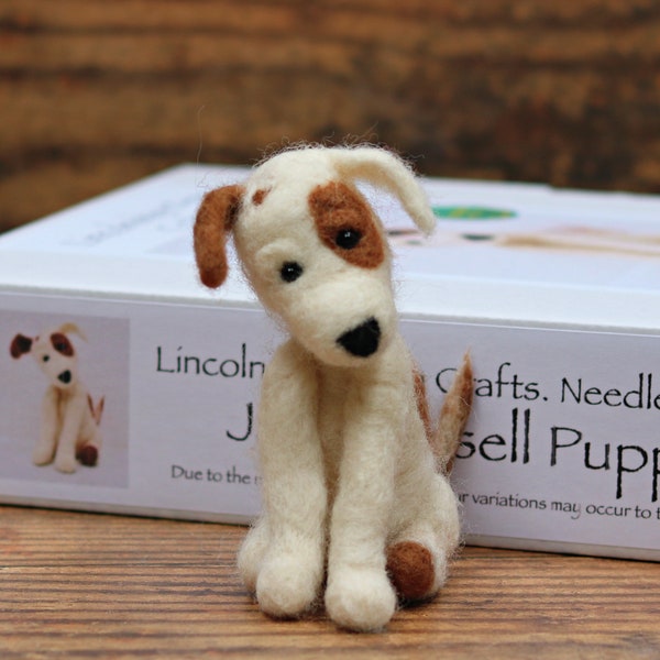 Needle Felted Kit - Etsy