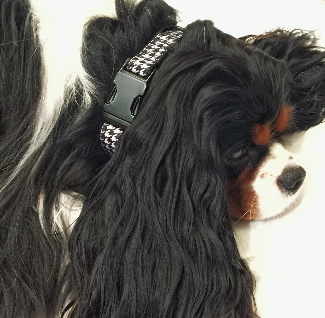 Houndstooth Dog Collar / Winter Dog Collar / Christmas Dog | Etsy