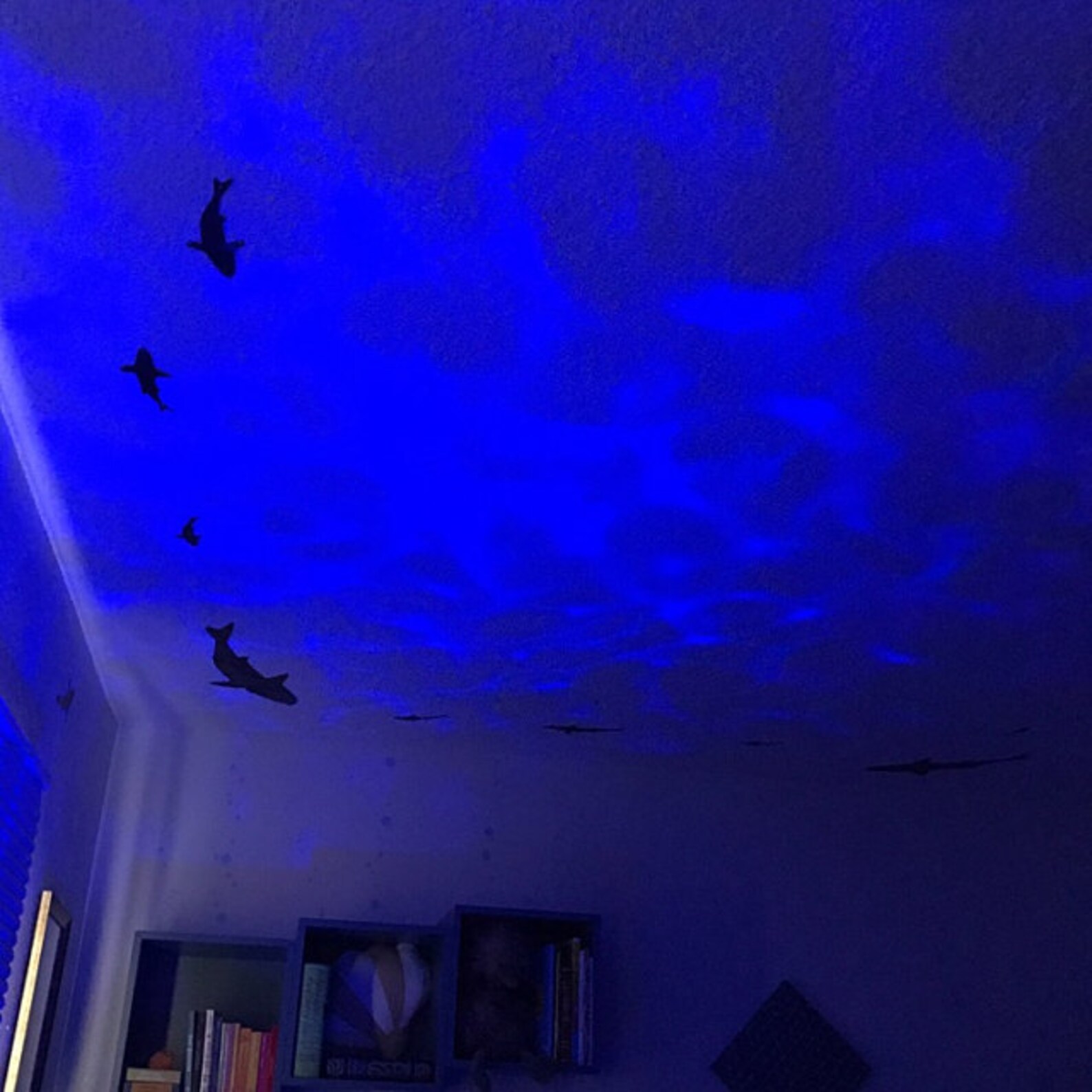 Ceiling Shark Decal From Below Shark Wall Decal Shark Decal - Etsy