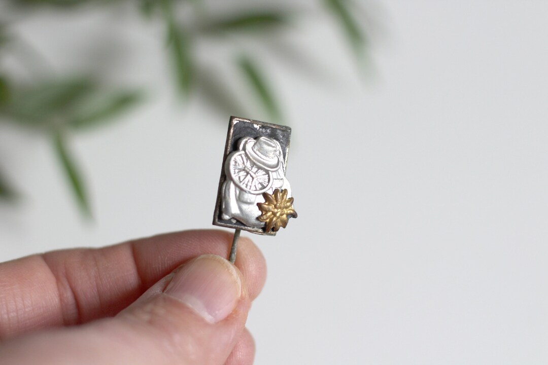 Alpine Vintage Pin Edelweiss, Traditional Costume Brooch, Hiking Brooch ...