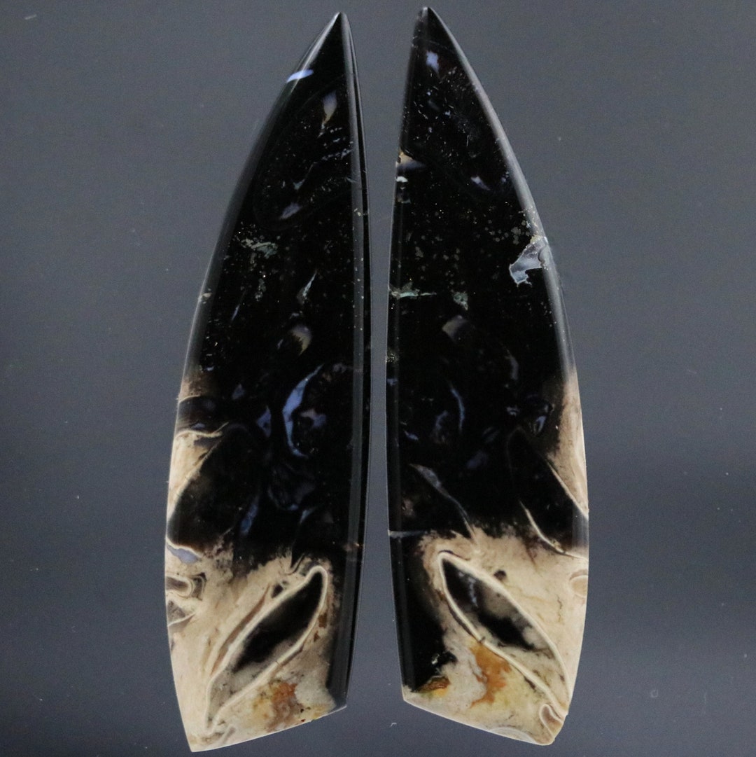 Petrified Palm Wood Root Gemstone Set - Etsy