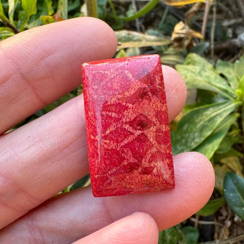 Rectangular Coral Bead - Etsy