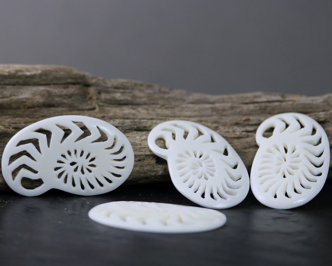 Nautilus Shell Carving Made From Organic Recycled Bone Handcrafted ...