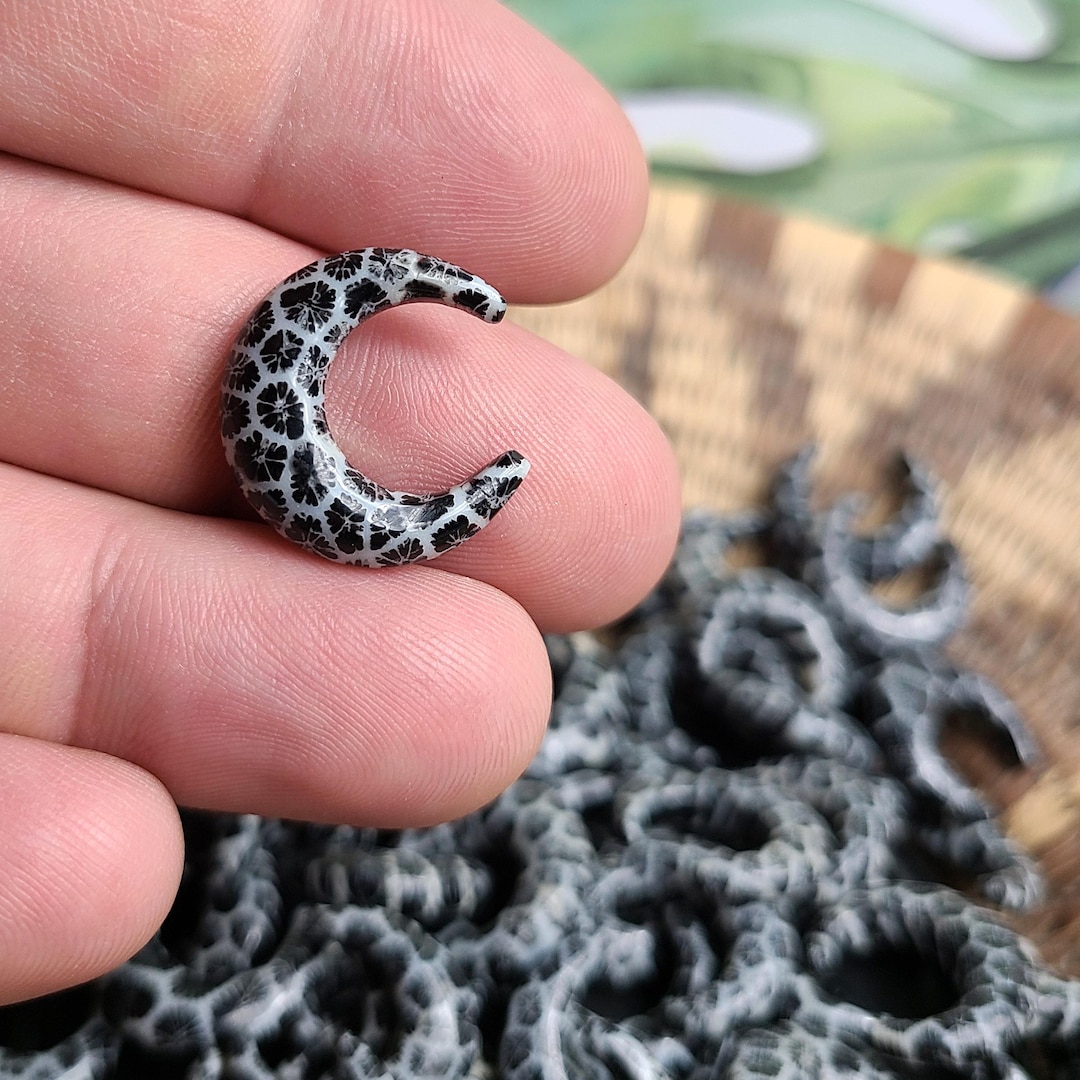 Black Coral Crescent Moon | Small Lunar Bead for Earrings & Pendants ...